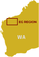 Eastern Guruma - Engaging Ethnicity, Delivery Diversity | Eastern ...