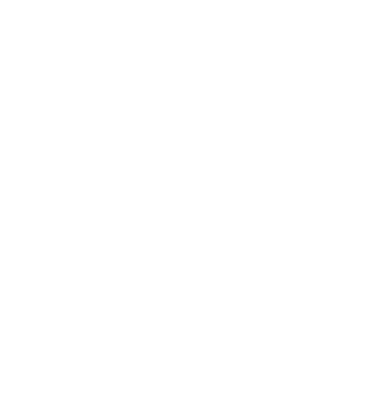 Eastern Guruma - Engaging Ethnicity, Delivery Diversity | Overview