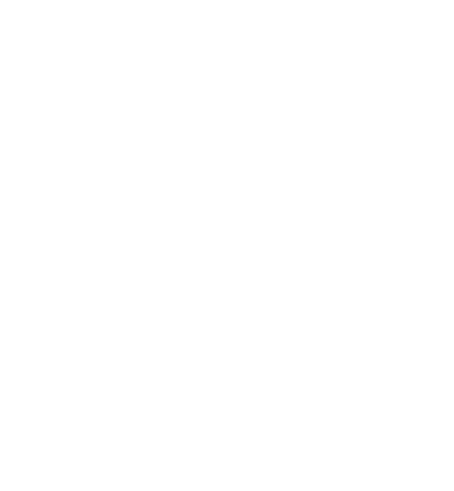 Eastern Guruma - Engaging Ethnicity, Delivery Diversity | Overview