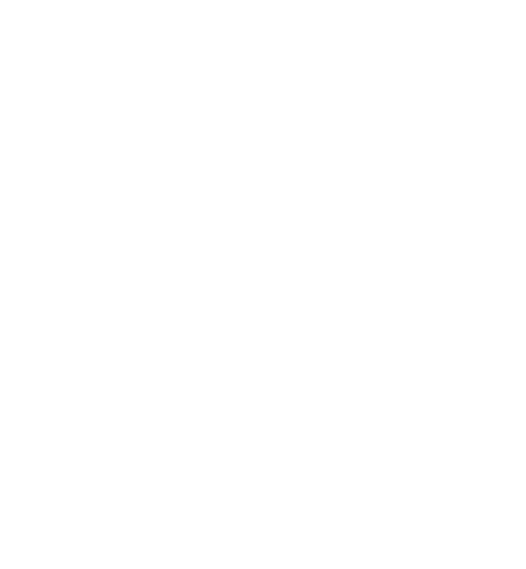 Eastern Guruma - Engaging Ethnicity, Delivery Diversity | Overview